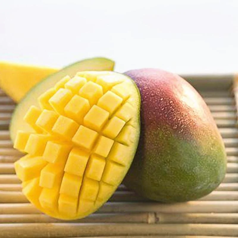 Carrie Dwarf Mango Tree - Grafted Tropical Fruit Plant