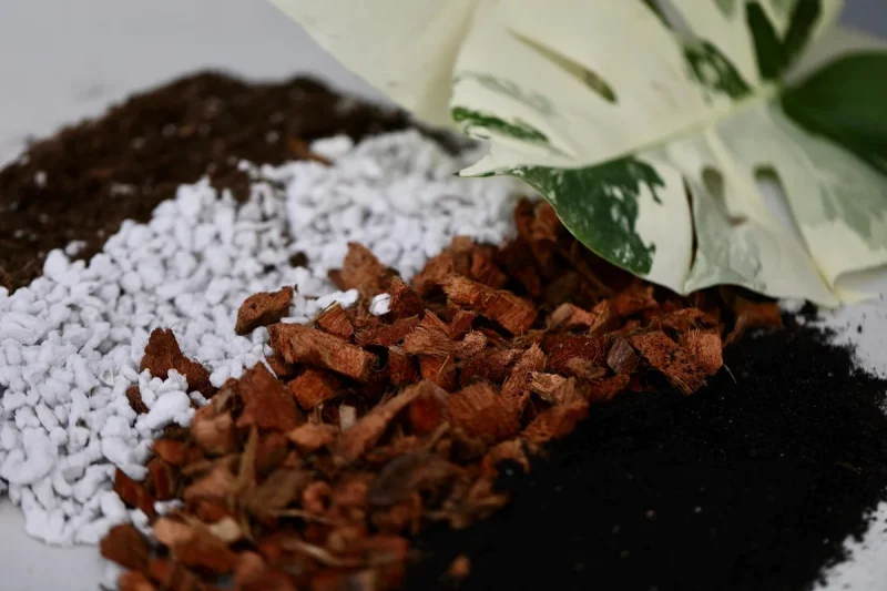 Chunky Aroid Mix Potting Soil for Monstera & Rare Plants