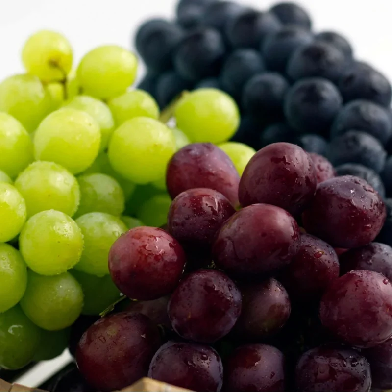 Grape Vine Collection: Concord, Catawba, Niagara - Bare Root Plants