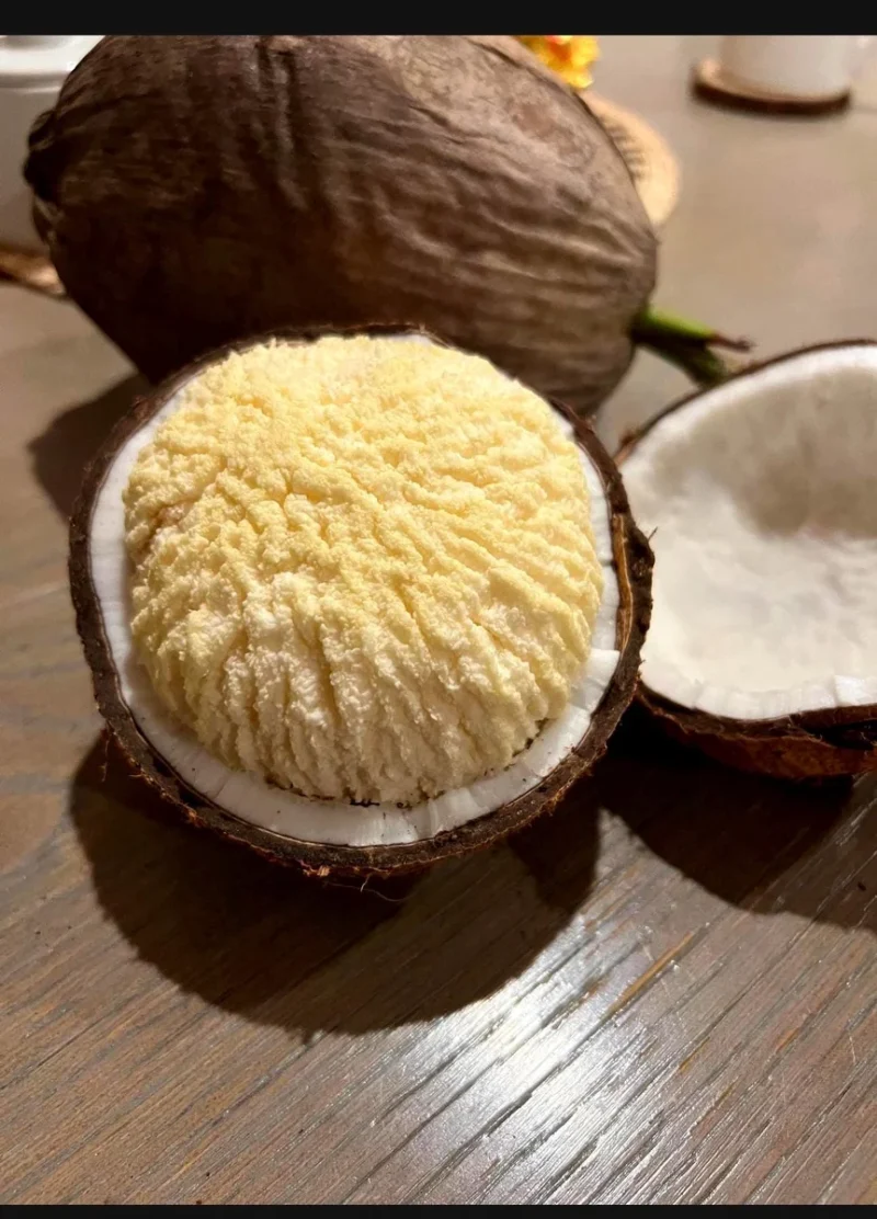 Sprouted Coconut Fruit: Unique Cotton Candy Texture, 2-Pack